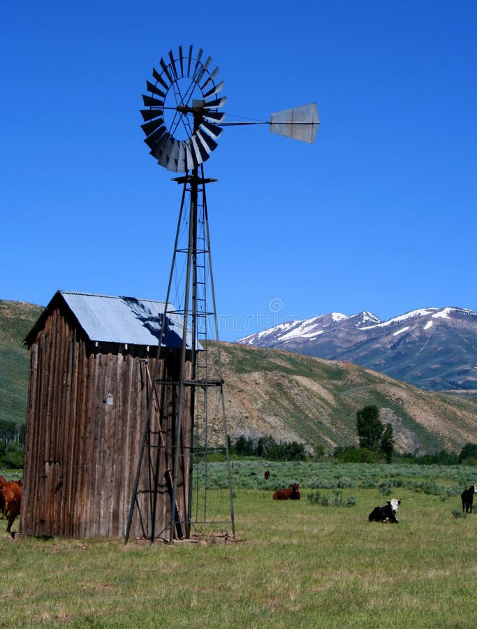 Home on the Range 2 stock image. Image of cattle, idaho - 1699489