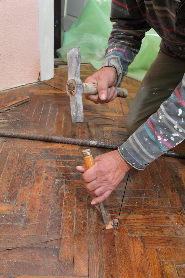Home renovation stock photo. Image of flooring, repairing - 34123078