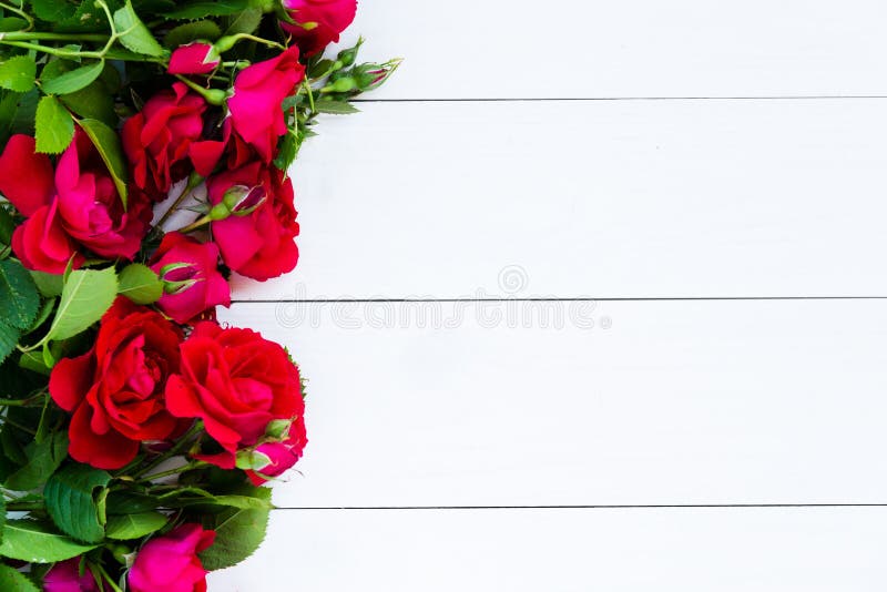 Home Roses on a White Wooden Table Flat Lay. with Copy Space Stock ...