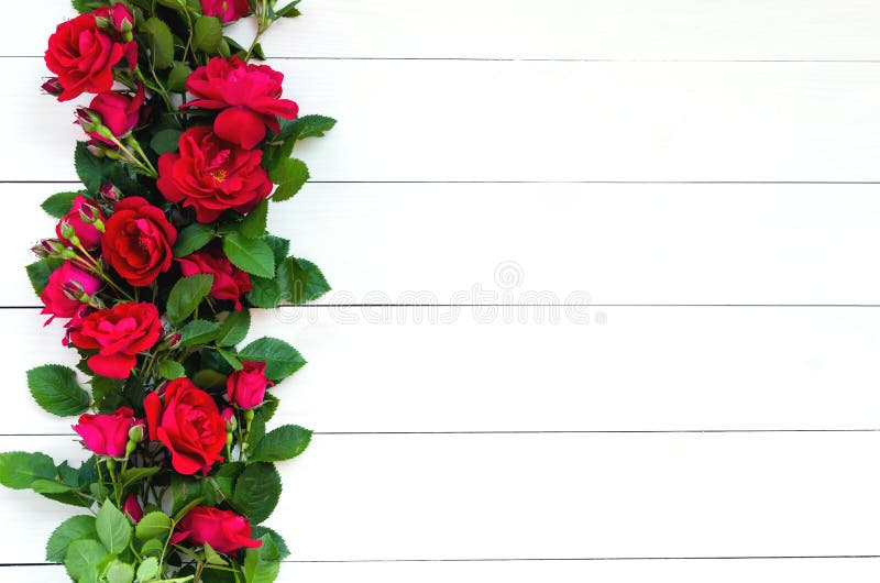 Home Roses on a White Wooden Table Flat Lay. with Copy Space Stock ...