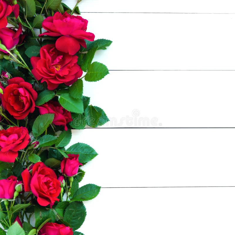 Home Roses on a White Wooden Table Flat Lay. with Copy Space Stock ...