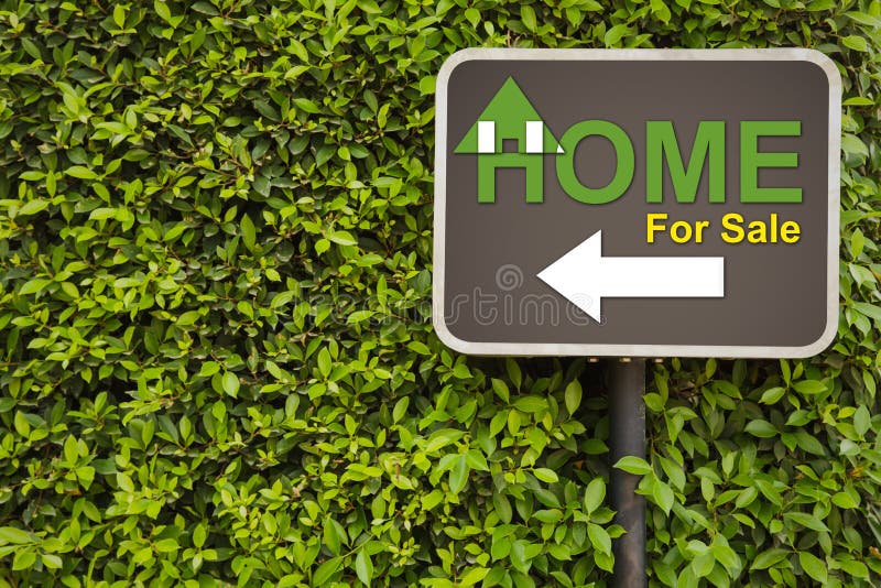 Green Leaves and Green Grass Stock Photo - Image of landscape, clear ...