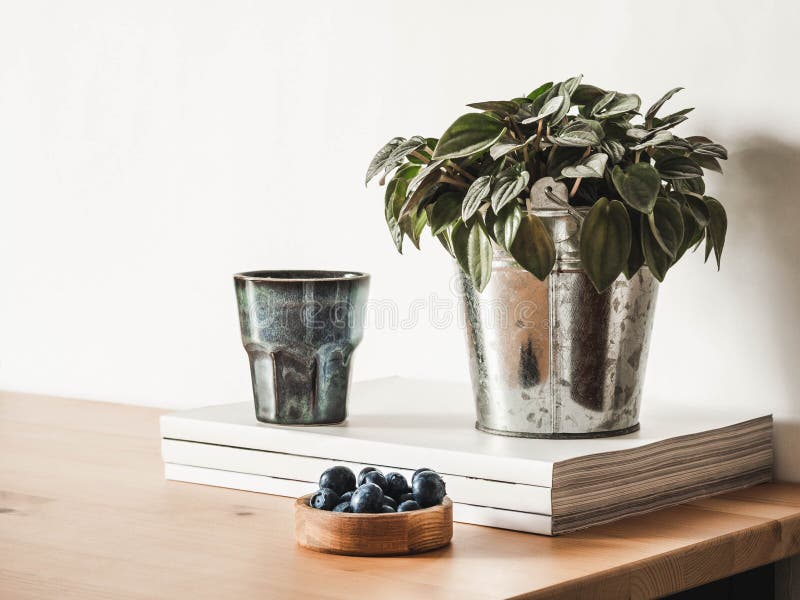 Home Still Life from Various Decorative Items Stock Photo - Image of ...