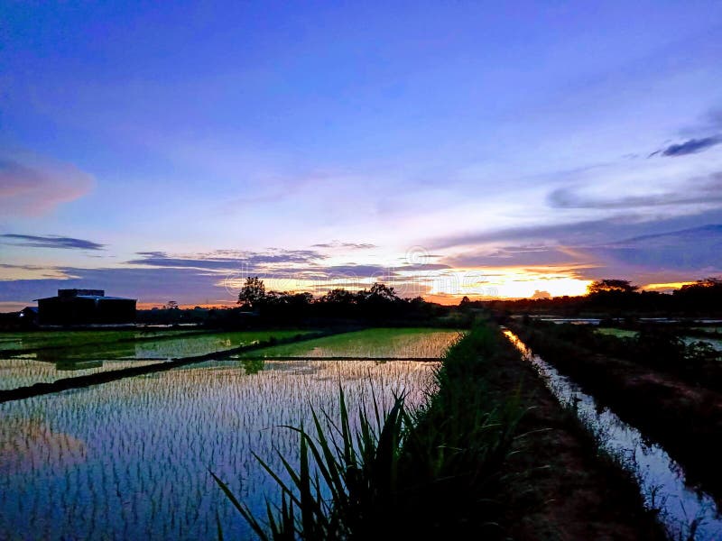 Home Town sun side stock image. Image of sunlight, lake - 202028919