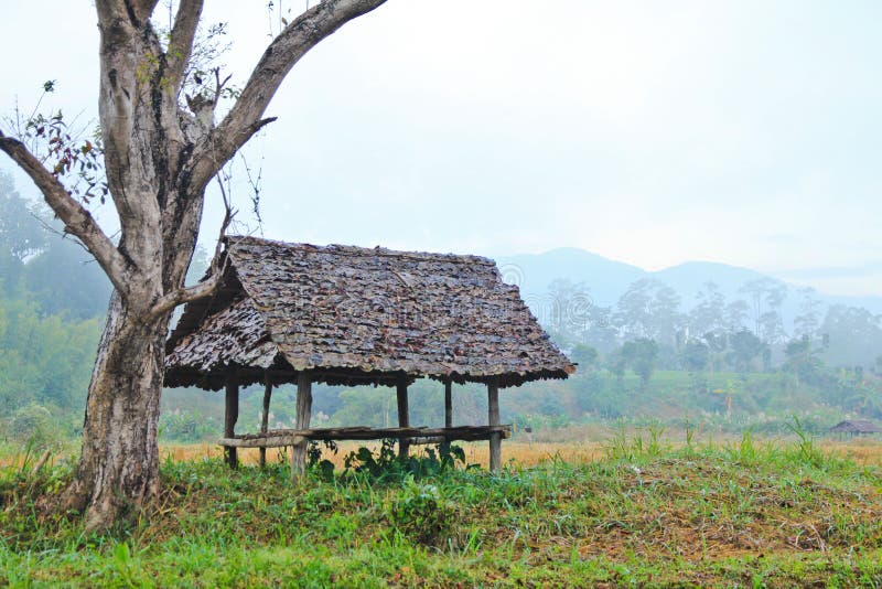 Home, under the trees. stock photo. Image of prairie - 24642732
