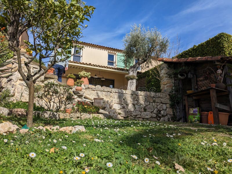 Home View Tree Nature Nice Simple Stock Photo - Image of view, home ...