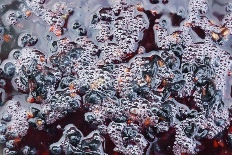 Fermentation of Grape Must. Stock Image - Image of mash, grape: 111408589