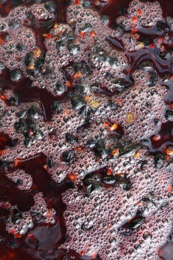 Fermentation of Grape Must. Stock Image - Image of mash, grape: 111408589