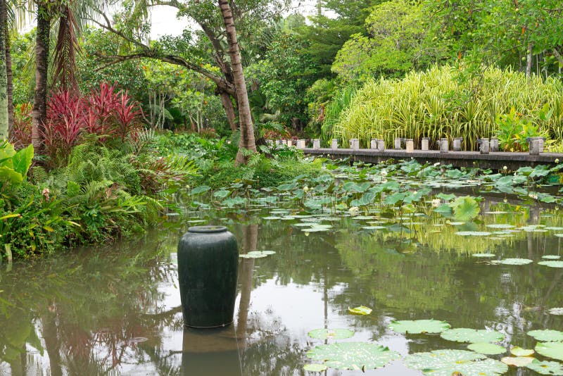 Homegrown Vegetable Garden with Swamp in the Backyard. Stock Photo ...