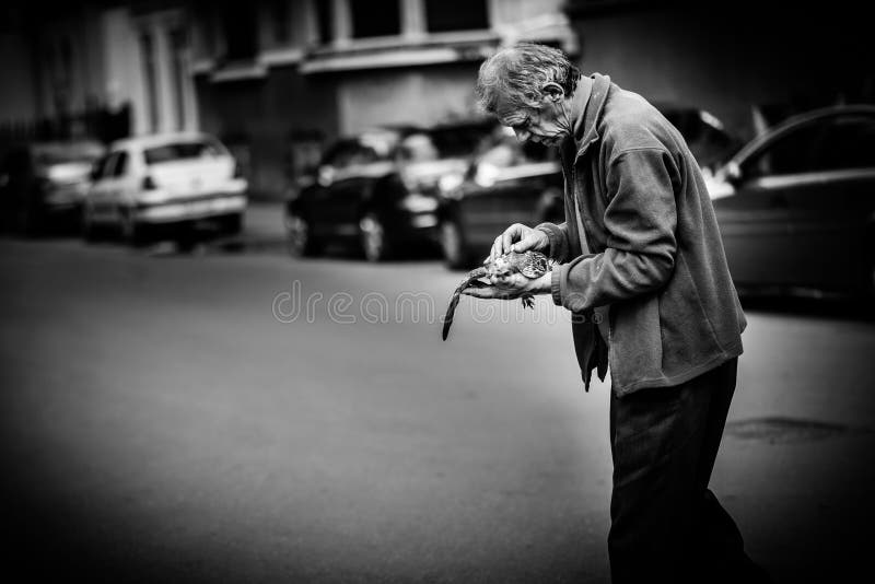 Homeless Man Crying for Help at Amsterdam the Netherlands 2020 ...