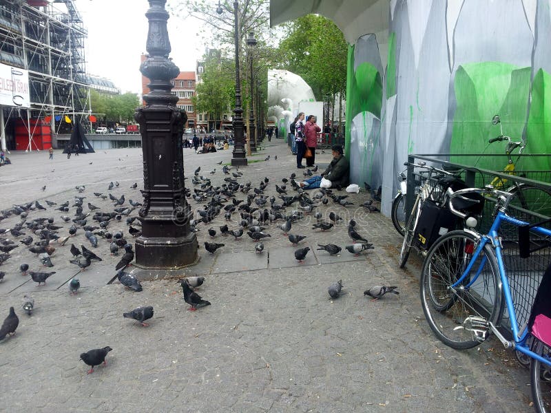 Homeless pigeons editorial photo. Image of helpless, space - 58821096