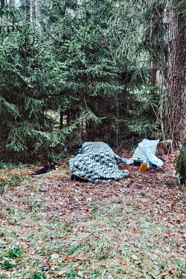 Homeless Under the Covers in Park in Winter Stock Photo - Image of ...