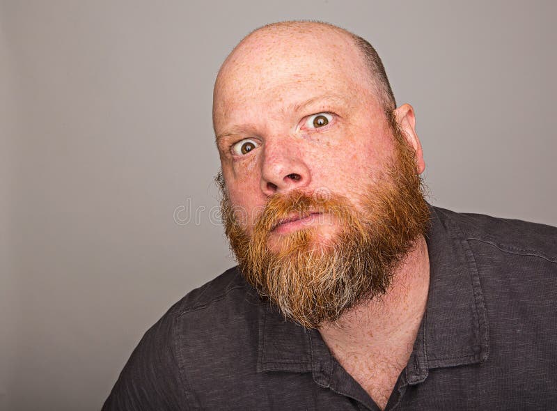Homem Calvo Com a Barba Vermelha Completa Imagem de Stock - Imagem de ...