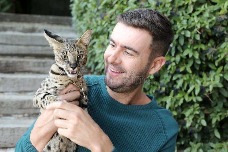 Homem com gato selvagem foto de stock. Imagem de humano - 237462328