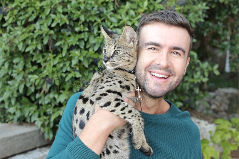 Homem com gato selvagem foto de stock. Imagem de humano - 237462328