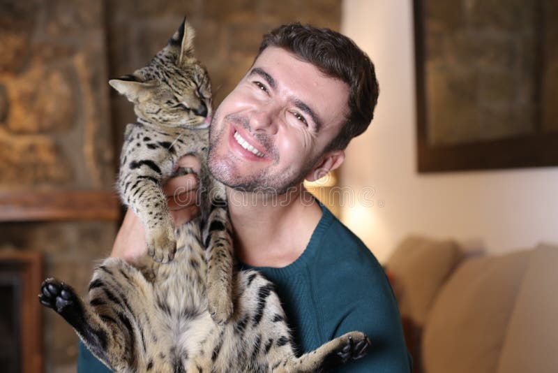 Homem com gato selvagem foto de stock. Imagem de humano - 237462328