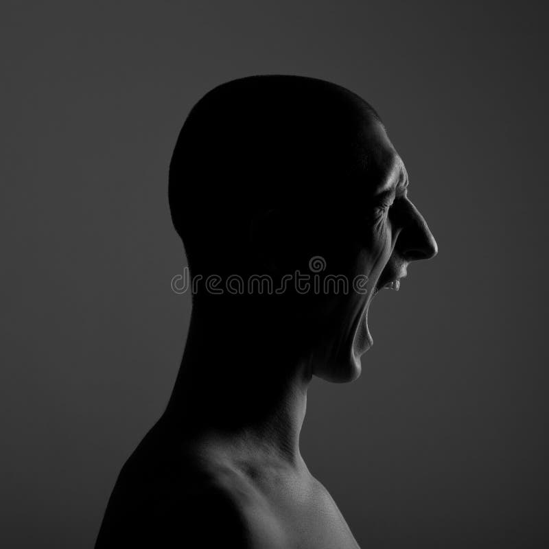 Homem gritando foto de stock. Imagem de careca, creativo - 23232728