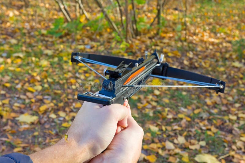 Tiro da arma da besta foto de stock. Imagem de archery - 126189108