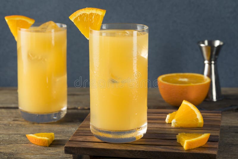 Homemade Alcoholic Gin and Juice Cocktail Stock Image - Image of slice ...
