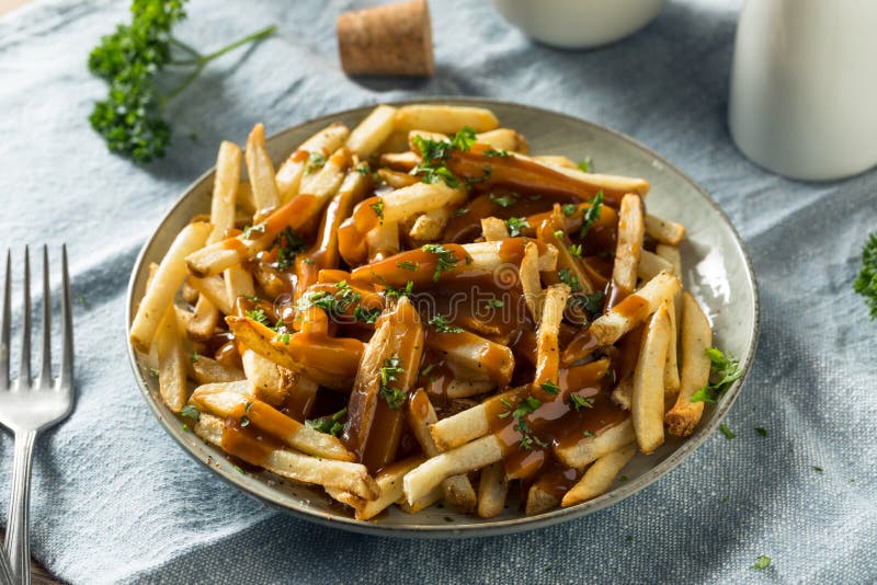 Homemade American Gravy Fries Stock Image - Image of potato, restaurant ...