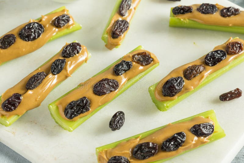 Homemade Ants on a Log Snack Stock Image - Image of healthy, cuisine ...