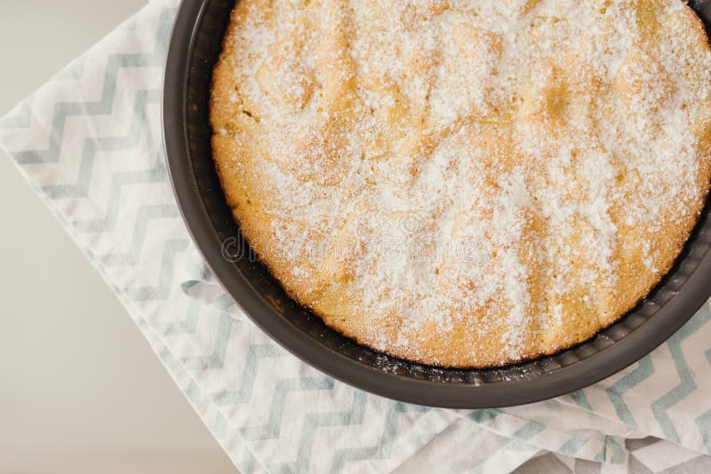 Plain Apple Tree stock photo. Image of fruit, nature - 73407132