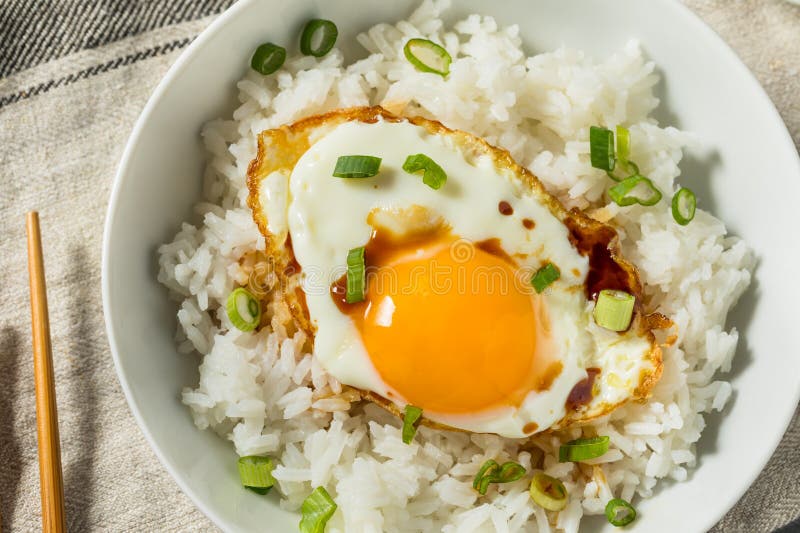 Homemade Asian Fried Egg and Rice Breakfast Stock Photo - Image of diet ...