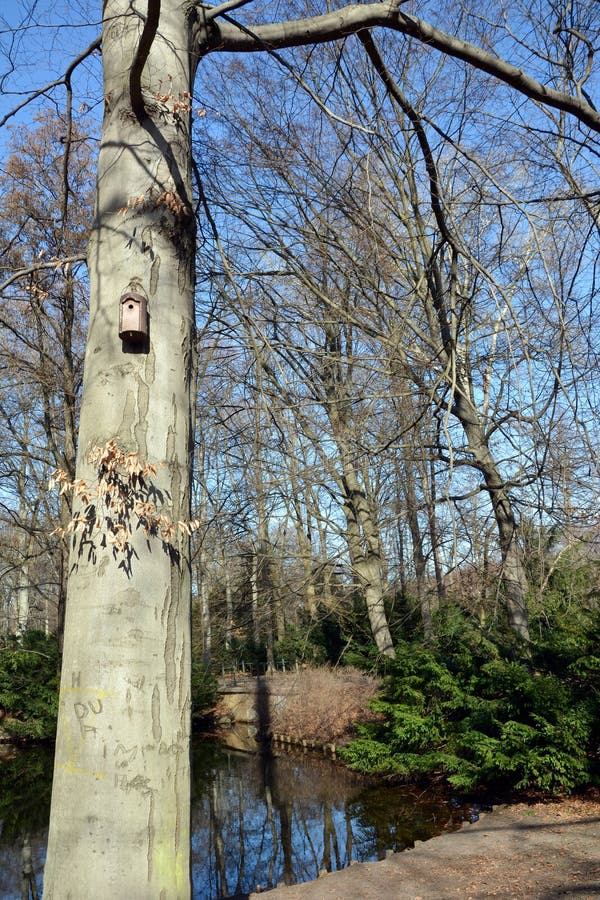A Birdhouse Hangs on a Tree in the Park. Trees without Leaves Stock ...