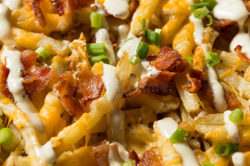 Homemade Bacon Cheddar Ranch Fries Stock Image - Image of crispy, ranch ...
