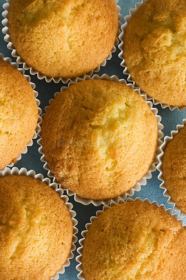 Homemade Baked Buns Picture. Image: 14645614