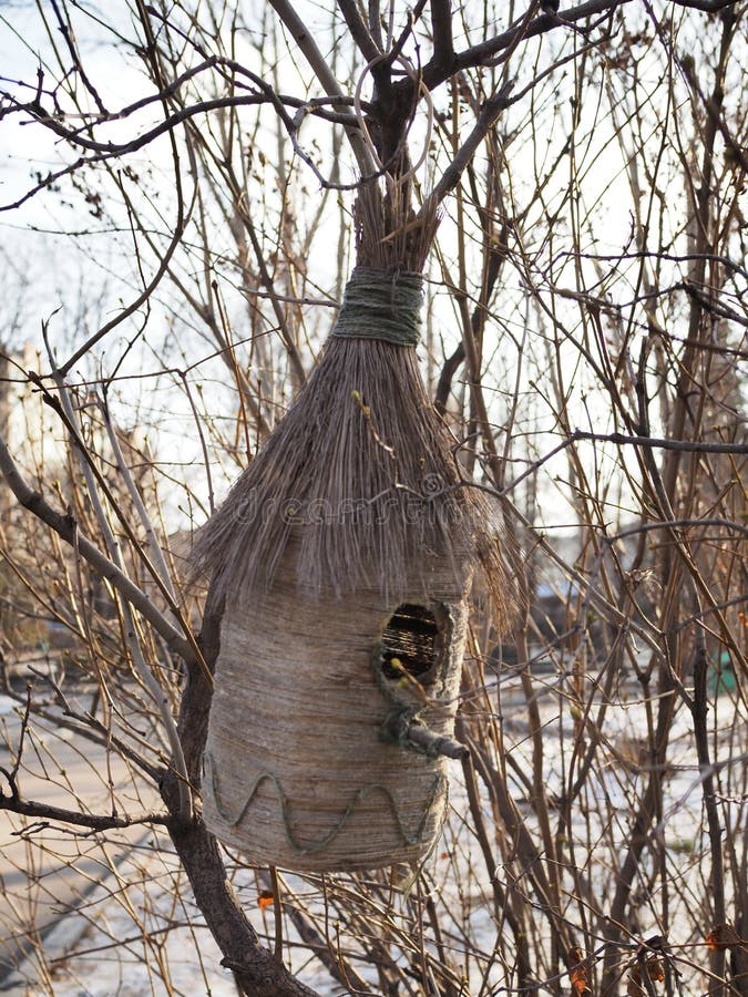 Homemade Bird Feeder Made of Natural Materials Stock Image - Image of ...