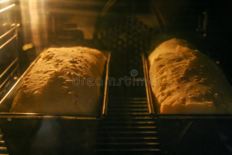 Homemade Bread in an Electric Oven. Fresh and Crunchy Stock Image ...