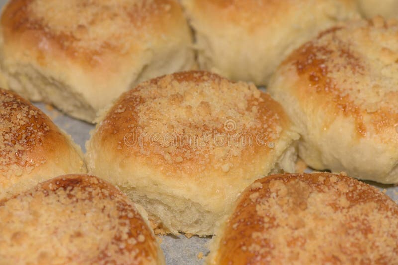 Homemade Bread Rolls on Parchment on a Baking Sheet 8 Stock Image ...