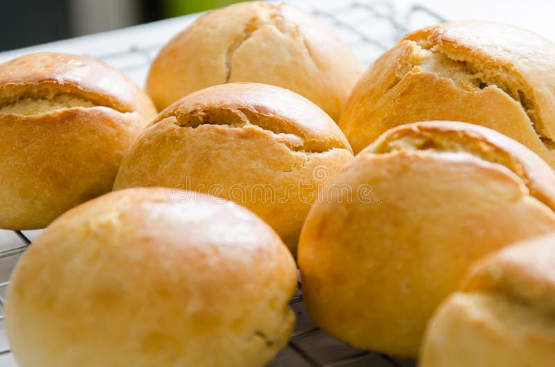 Homemade Buns on Cooking Rack Stock Photo - Image of healthy, dessert ...