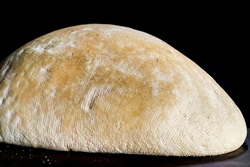 Homemade Cheese from the Milk of Cows and Sheep that Graze High in the ...