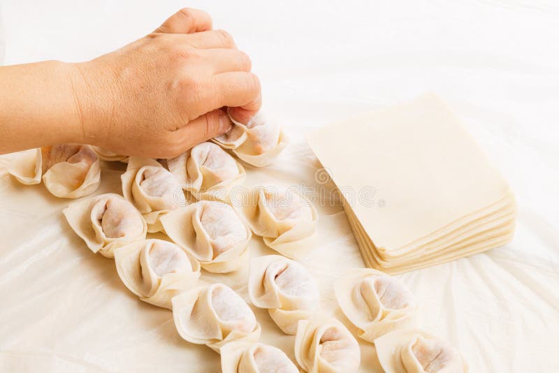 Homemade Chinese dumplings stock image. Image of meat - 35721437