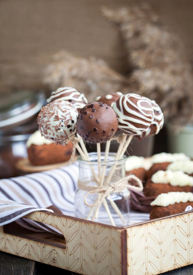 Homemade Chocolate Cake Pops Stock Image - Image of christmas ...