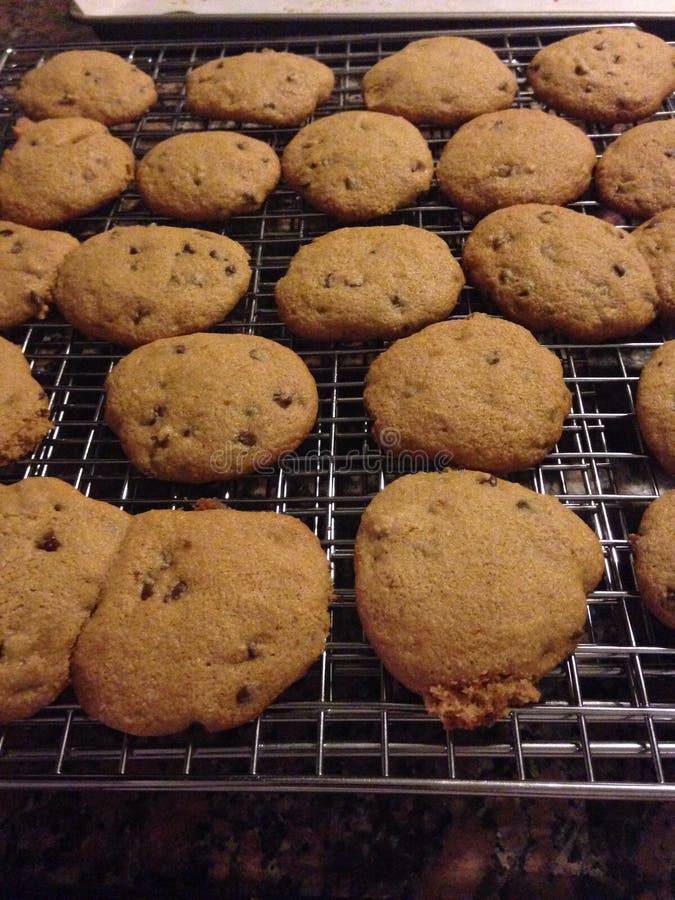 Homemade Chocolate Chip Cookies Stock Image - Image of baking, rack ...