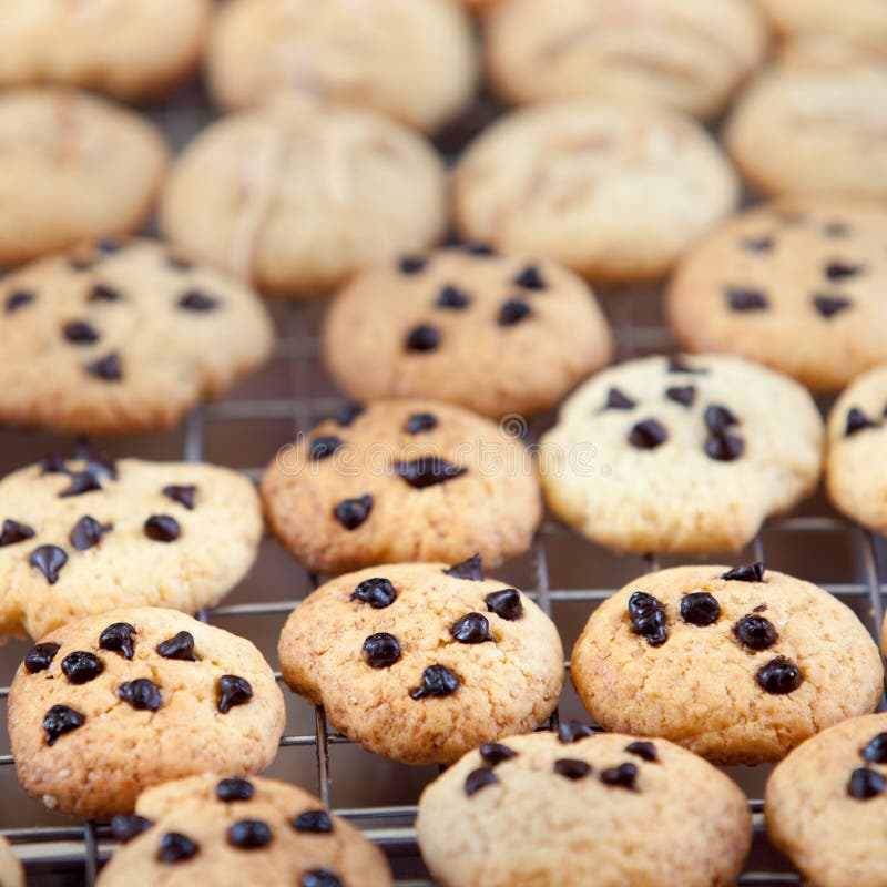 Homemade Chocolate Chip Cookies Ready To Eat Stock Photo - Image of ...