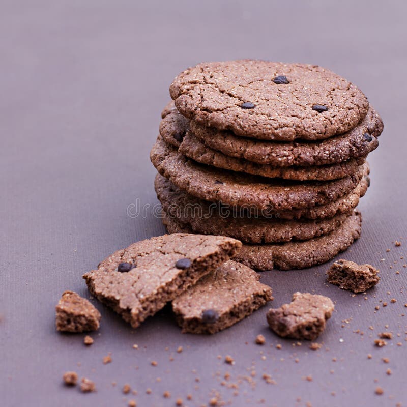 Homemade Chocolate cookies stock image. Image of chocochip - 120335065