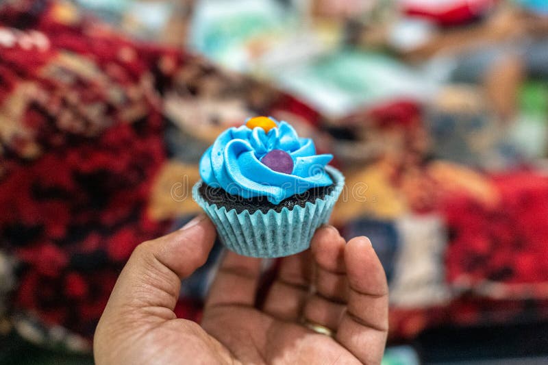 Homemade Chocolate Cupcake with Blue Topping Held by Hand Stock Photo ...