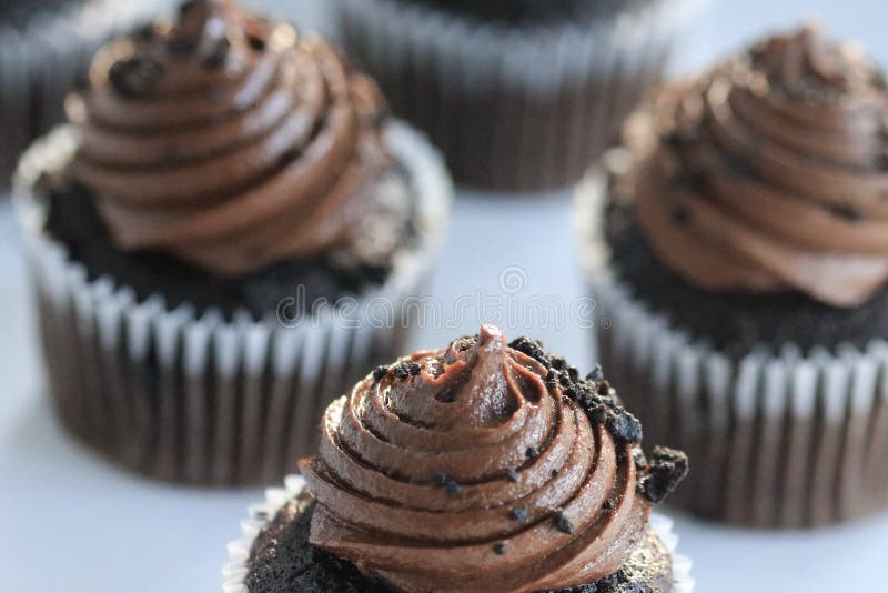Chocolate Cupcakes in a Row Stock Photo - Image of homemade, chocolate ...