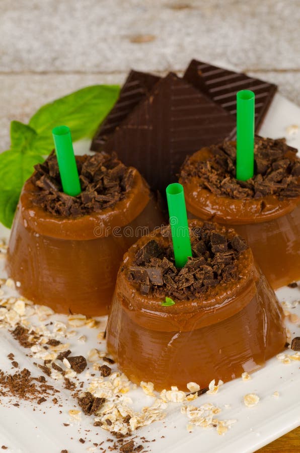 Homemade Chocolate Ice Pops Stock Image - Image of sweet, food: 43348625