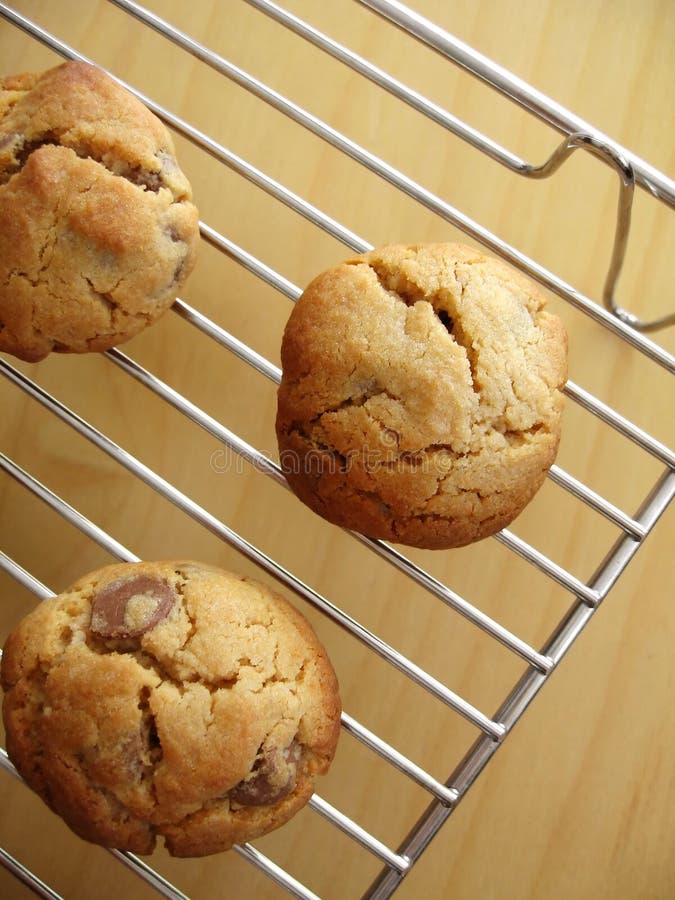 Homemade Cookies stock photo. Image of cookie, crumble - 1240358