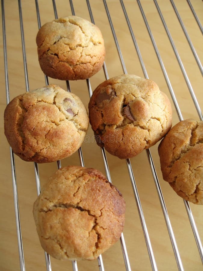 Homemade Cookies stock image. Image of nutrition, chocolate - 1240383