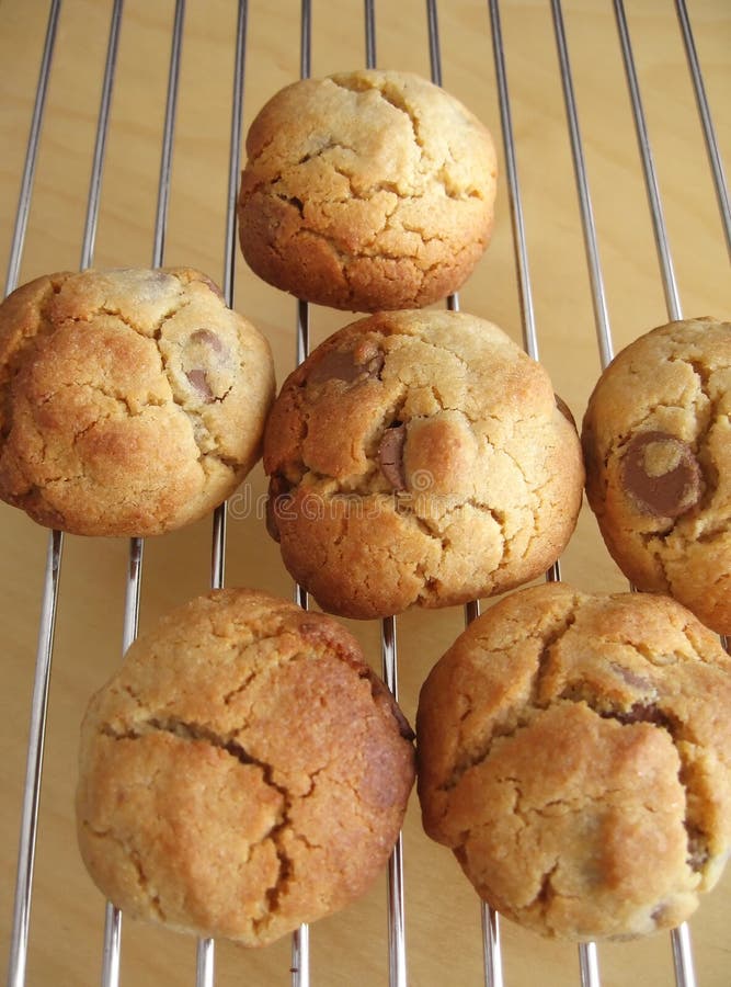 Homemade Cookies Picture. Image: 1240375