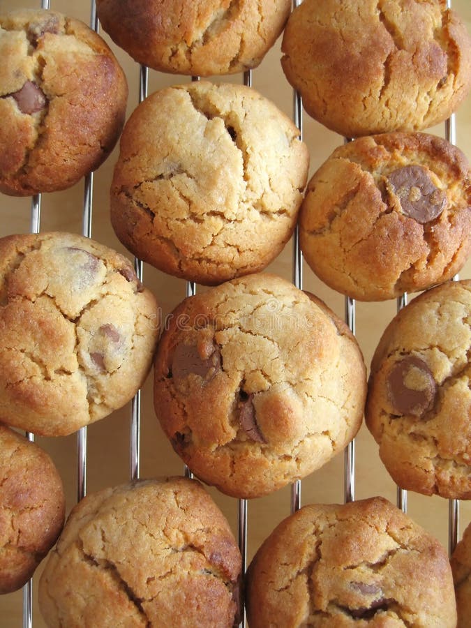 Homemade Cookies stock image. Image of nutrition, chocolate - 1240383
