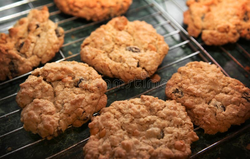 Homemade Cookies stock photo. Image of cooling, warm - 24007760