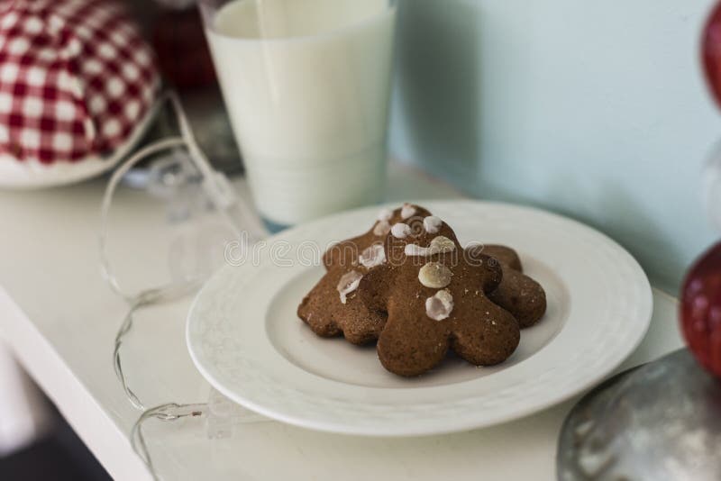 Homemade cookies for santa stock photo. Image of handmade - 235156860