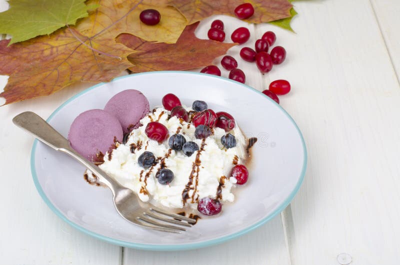 Homemade Cottage Cheese with Berries Stock Image - Image of cottage ...